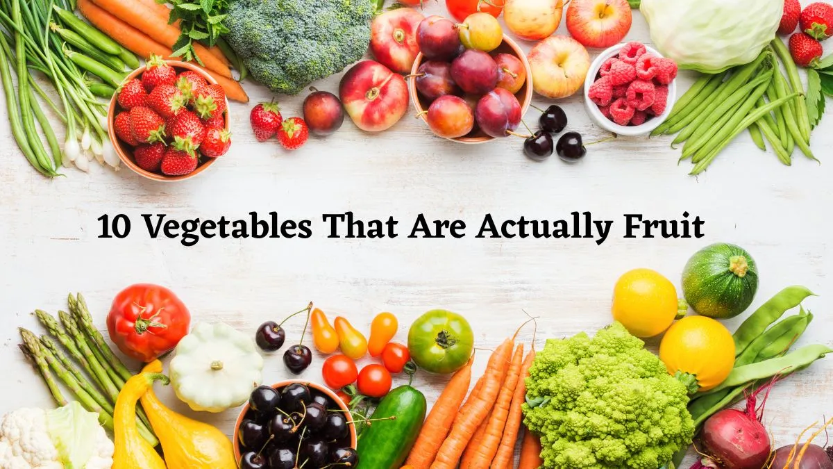 10 Vegetables That Are Actually Fruits You Eat Every Day