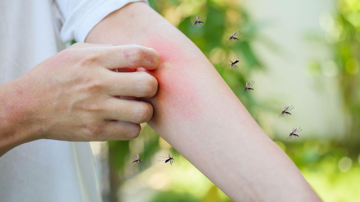 Top 10 Countries With Highest Mosquito Death |World Mosquito Day