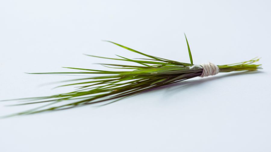 Durva Ashtami 2025: Date, Time, Shubh Muhurat, Significance And Rituals