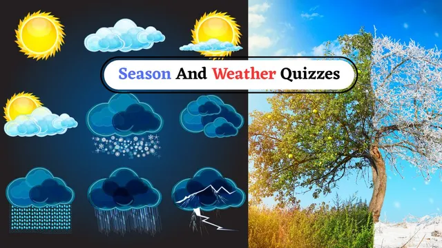 40+ Interesting Quizzes About Seasons And Weather To Test Your Knowledge