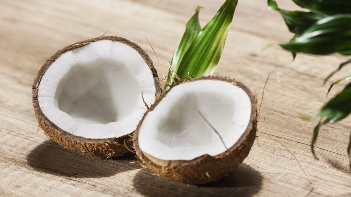 30 Surprising Facts About The Coconut Fruit On World Coconut Day