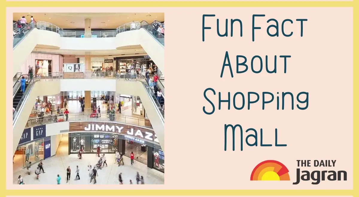 Do You Know Why Shopping Malls Have No Windows? Know This Fun Fact