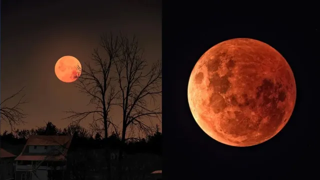 Blood Moon 2025: Total Lunar Eclipse To Peak At 11.48 PM Today; How To ...