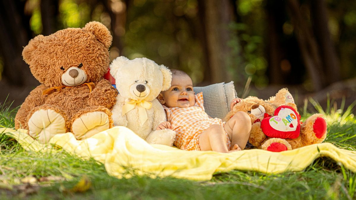 How Teddy Bear Was Invented And Became A Global Favourite | National ...