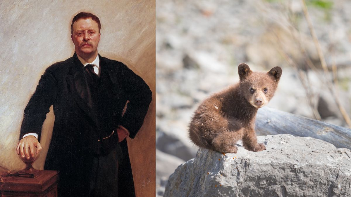 How Teddy Bear Was Invented And Became A Global Favourite | National ...