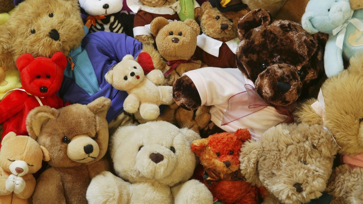 How Teddy Bear Was Invented And Became A Global Favourite | National ...