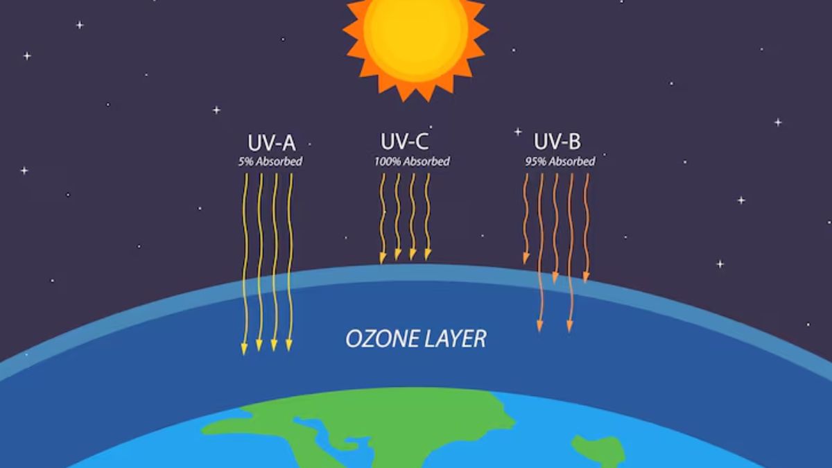 World Ozone Day: 30+ Interesting And Lesser-Known Facts About Earth's ...