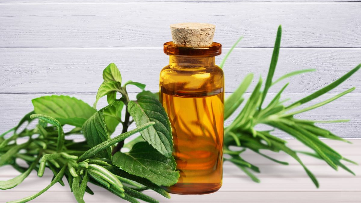 How To Get Rid Of Back Acne Before Garba? Try These 5 DIY Ways Ahead Of ...