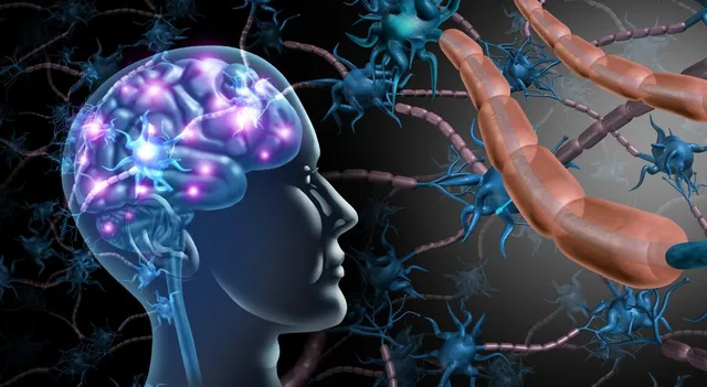 Do You Know Your Brain Is Constantly Eating Itself? Know More About ...