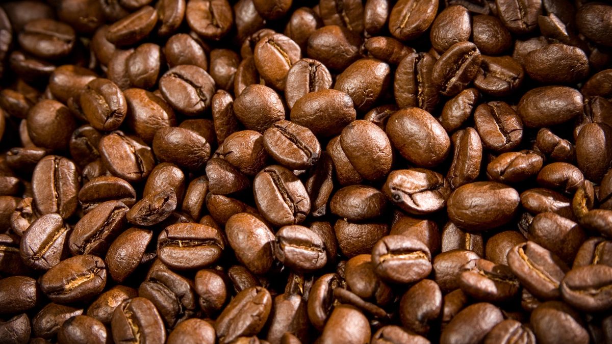 50+ FAQs And Fun Trivia About Coffee You Must Know| International Coffee Day