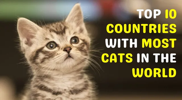 List Of Top 10 Countries With Most Cats In The World | Global Cat Day 2025