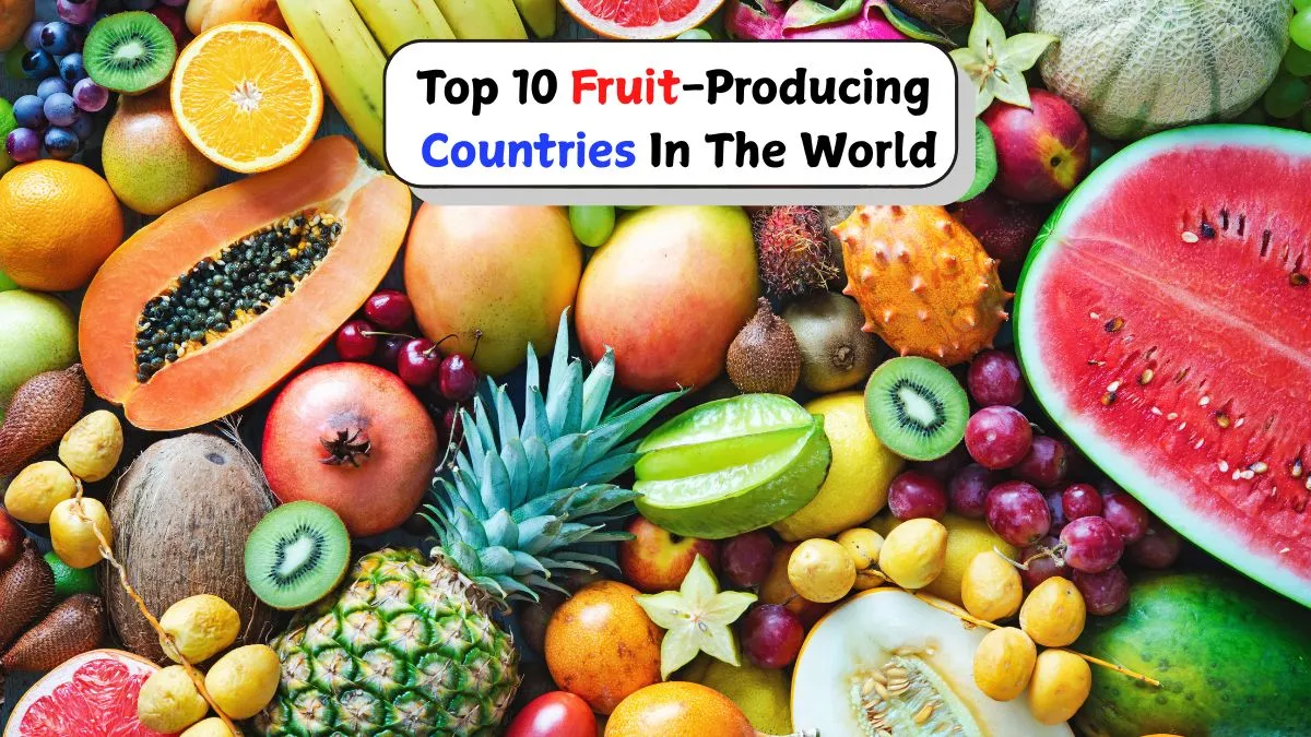Top 10 Largest Fruit Producing Countries In The World: Know Where India ...