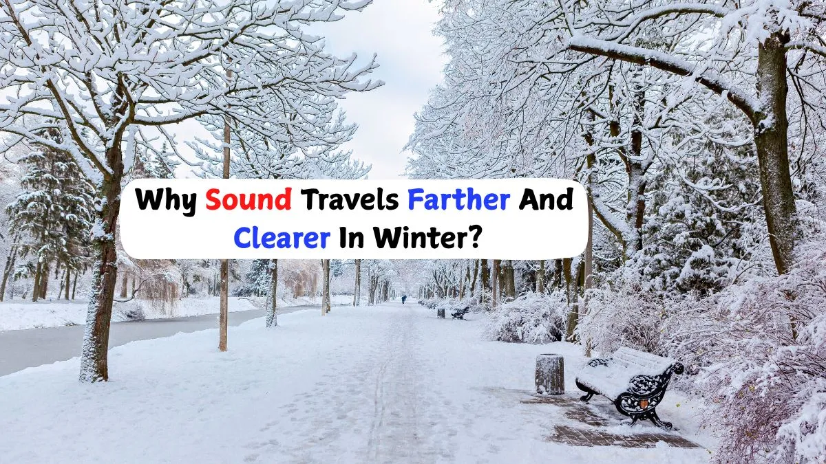 Did You Know Sound Travels Farther And Appears Louder In Winter ...