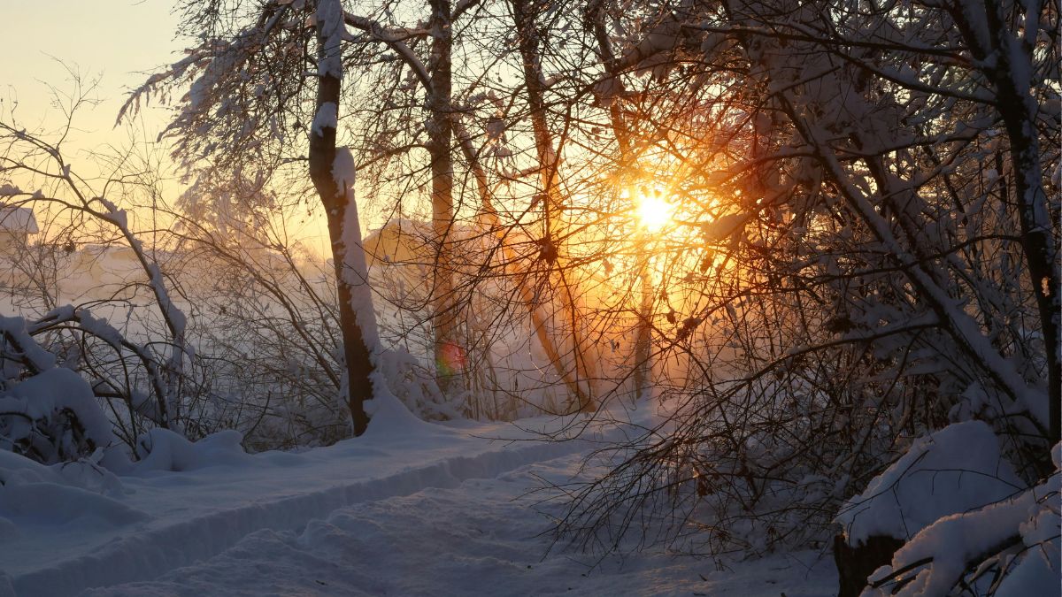 Did You Know Sound Travels Farther And Appears Louder In Winter ...