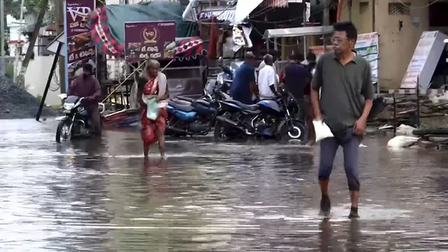 Andhra Pradesh Weather: Heavy Rain Lashes Vijayawada; Trees Uprooted ...