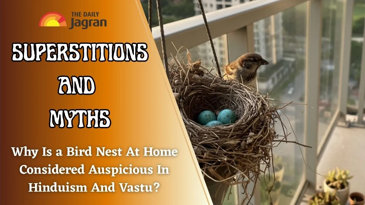 Why Is a Bird Nest At Home Considered Auspicious In Hinduism And Vastu ...