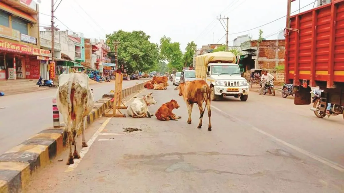 NHAI To Build Stray Animal Shelters On UP Highways, Starting With ...