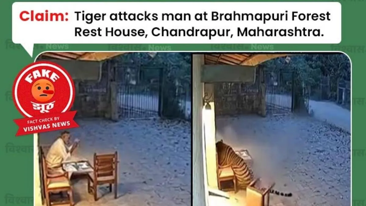 Fact Check: Viral Video Claiming Tiger Attack In Chandrapur Is AI ...
