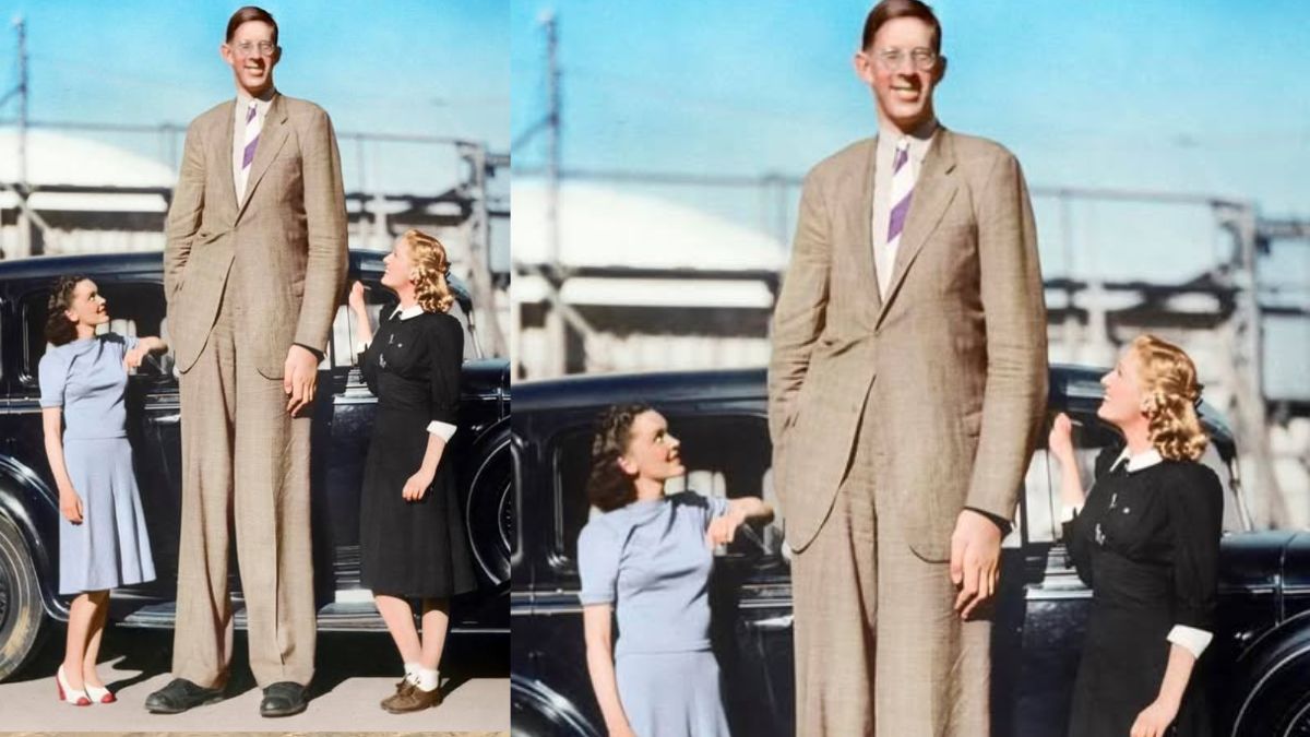 Who Is The Tallest Man In The World In 2025? Height, Age And ...