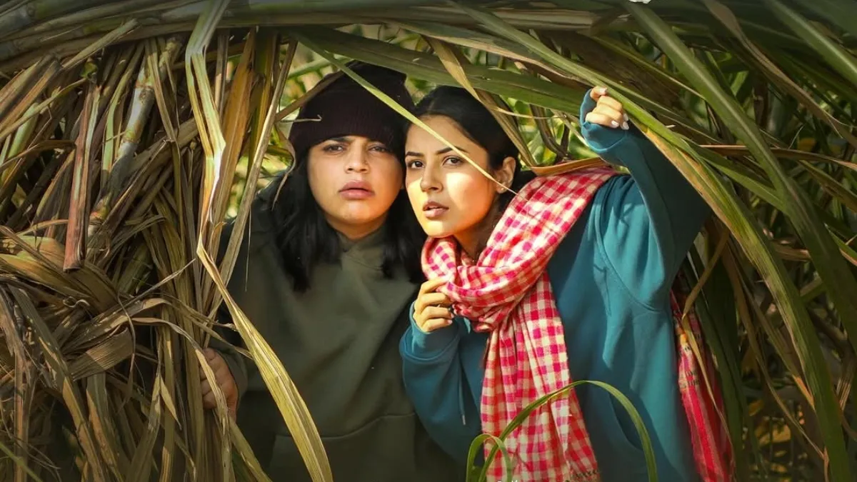 Ikk Kudi Box Office Collection Day 12: Shehnaaz Gill's Movie Witnesses ...