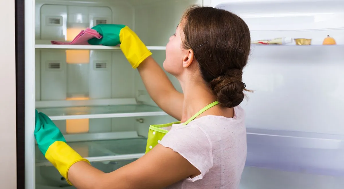 20+ Reasons To Clean Your Refrigerator Regularly | National Clean Out ...