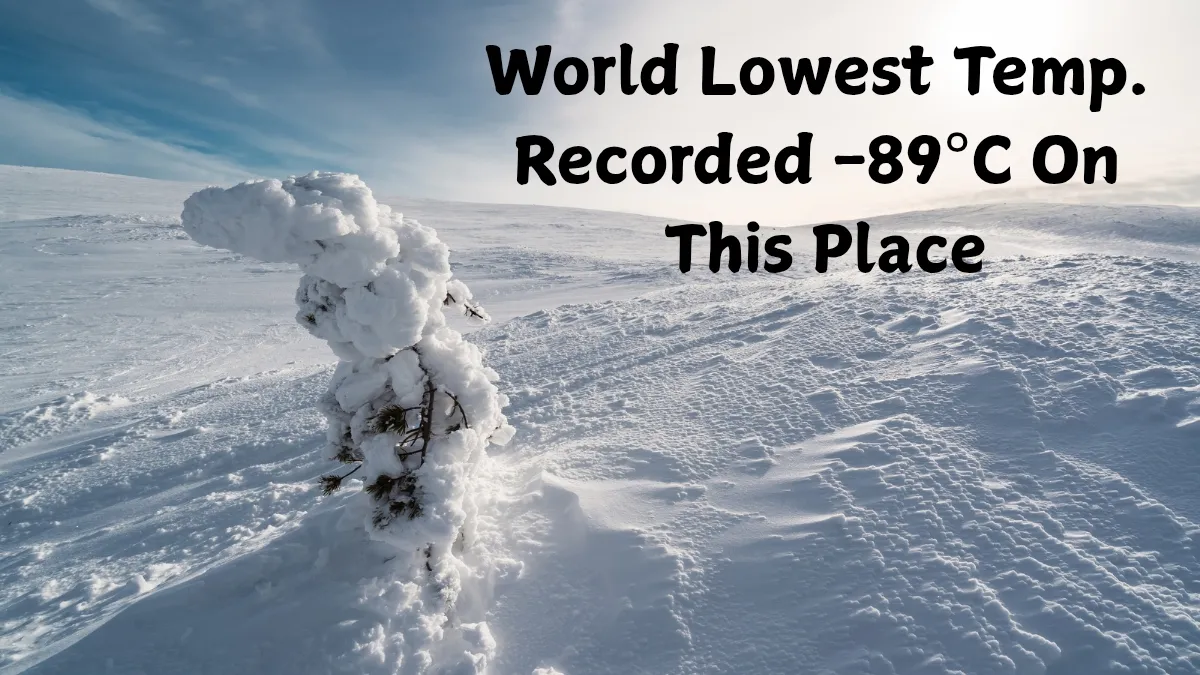 Do You Know The Coldest Temperature On Earth Was Recorded - 89.2°C ...