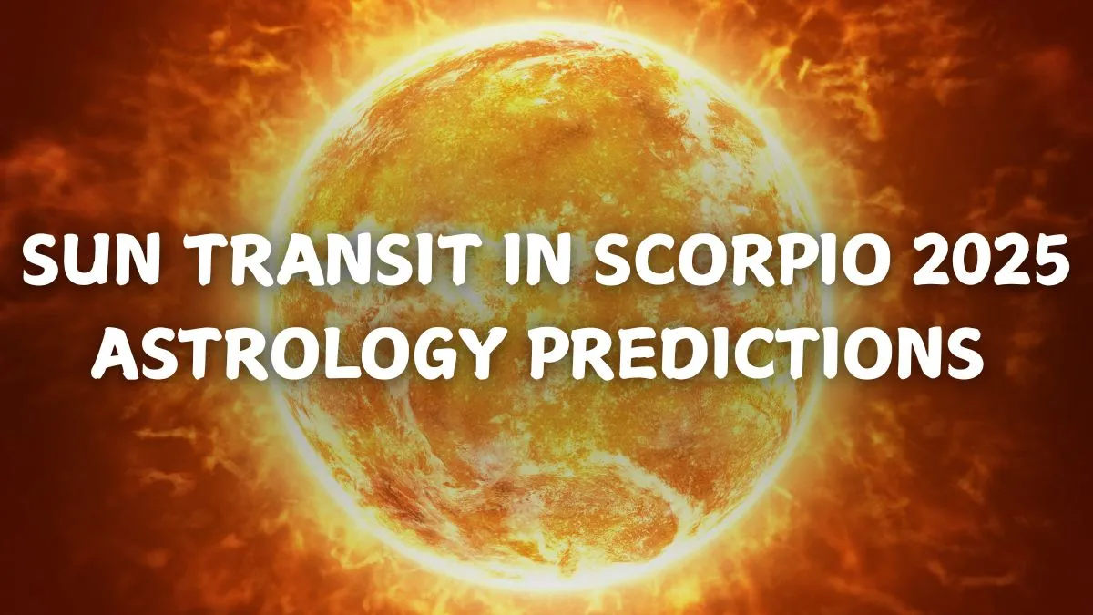 Sun Transit In Scorpio On November 16; Check Positive And Negative ...