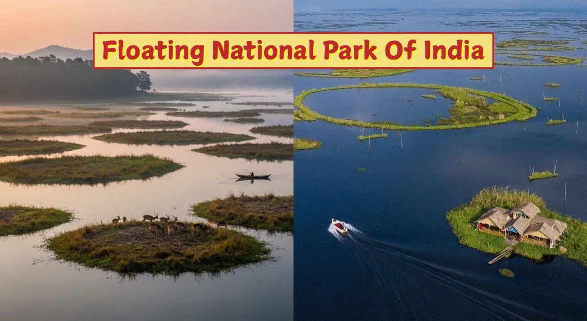 Which Is The Only Floating National Park In The World? Know The ...