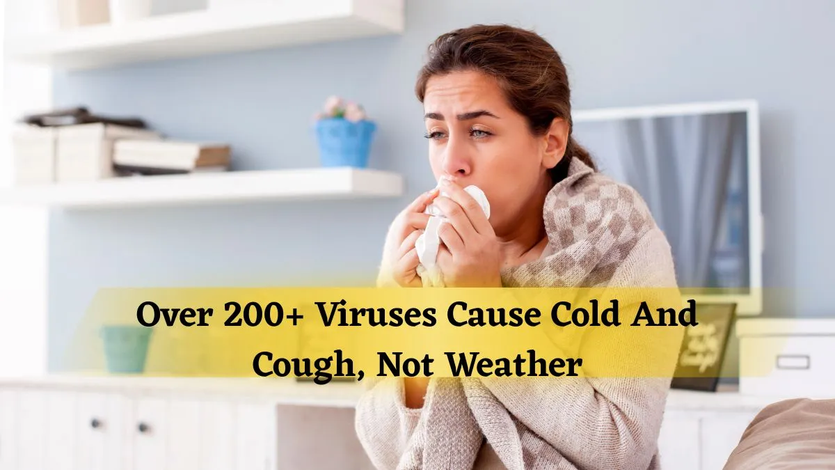Did You Know 200+ Viruses Cause Common Cold And Cough, Not The Weather ...