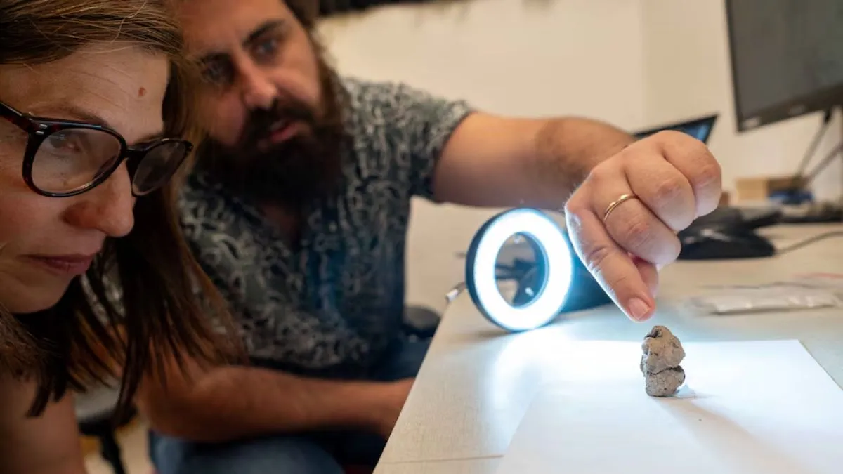 Bizarre 12000-Year-Old Woman–Goose Mating Pose Figurine Found In Israel ...