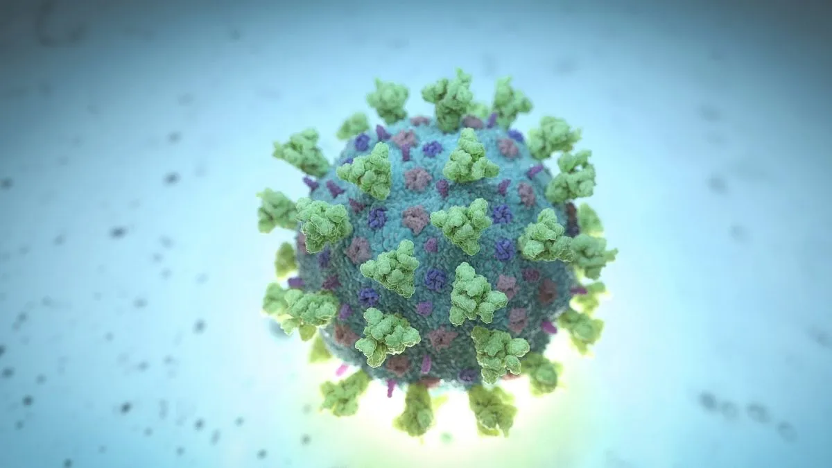 ‘Virus Never Before Seen in Humans’: US Confirms First-Ever Human ...