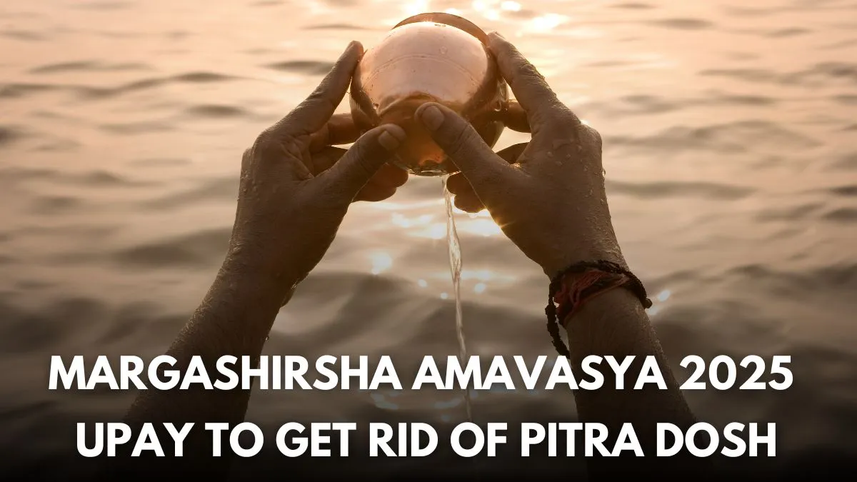 Margashirsha Amavasya 2025: Do This Easy Remedy To Get Rid Of Pitra ...