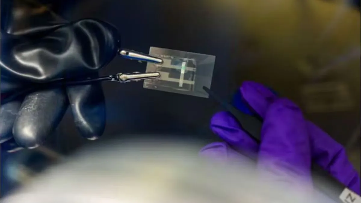 Stretchable OLED Breakthrough Could Redefine Wearables And Future Displays