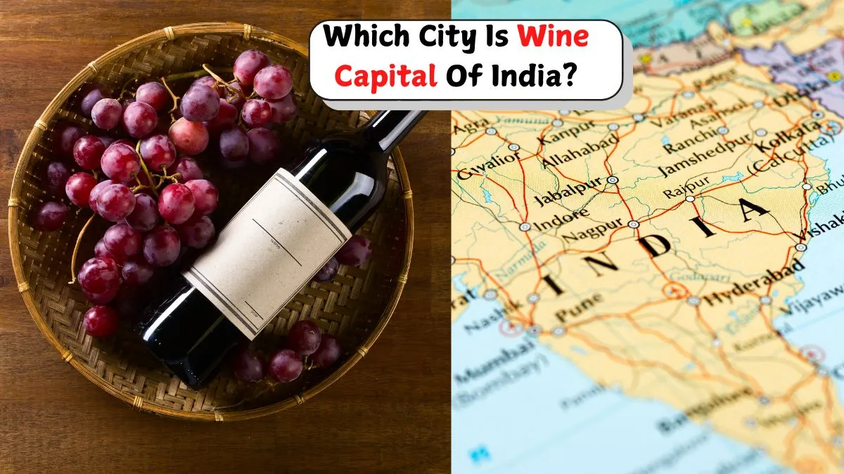 Which City Is Known As The Wine Capital Of India? Everything You Need ...