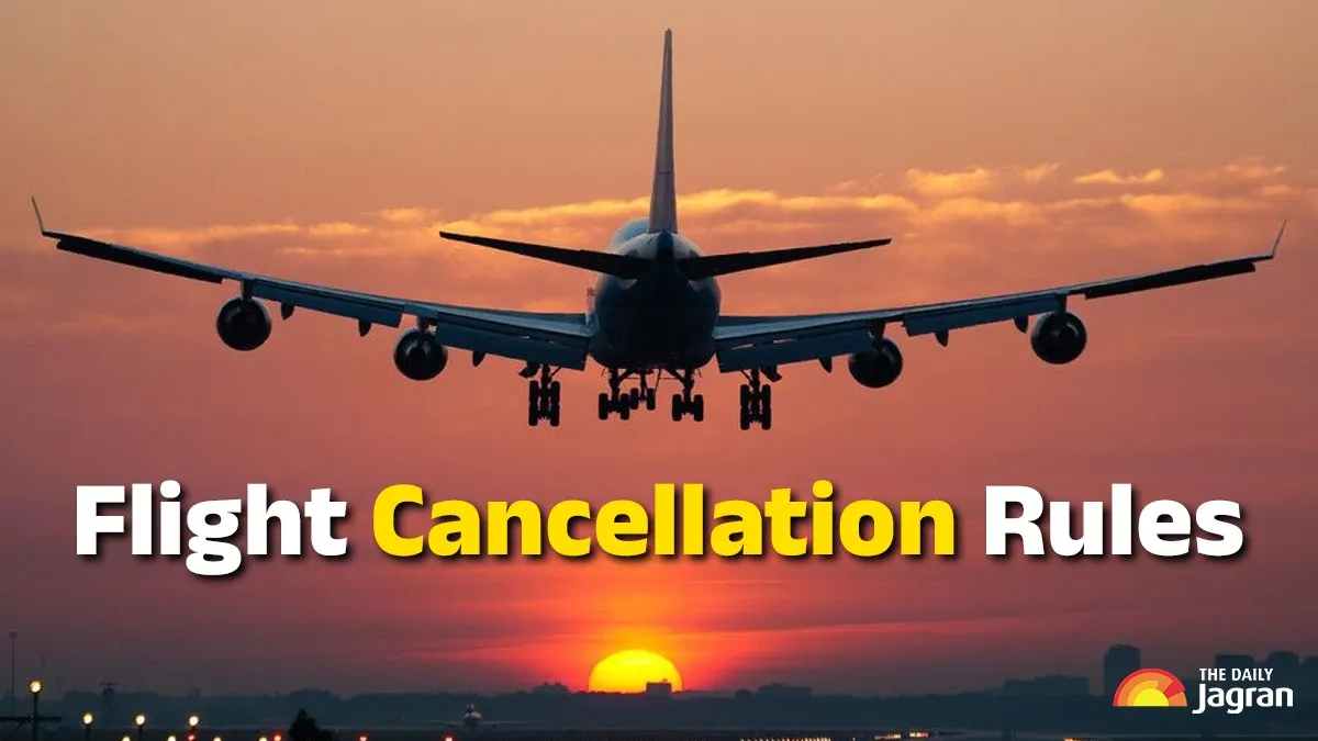 Flight Cancellation Rules: What To Do If Your Flight Is Cancelled Or ...