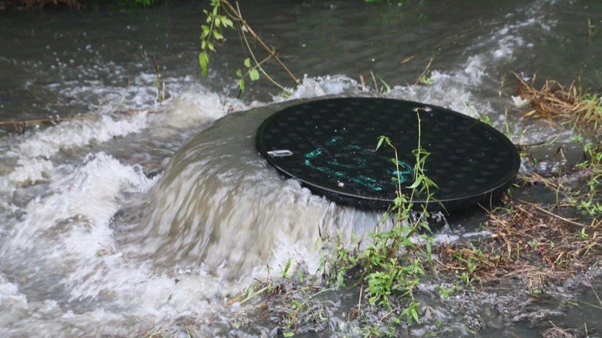 South Delhi RWAs Launch Social Media Campaign Against Sewer Overflow ...