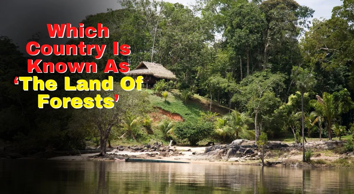 Which Country Is Known As ‘The Land Of Forests’? Know The Reason Behind It