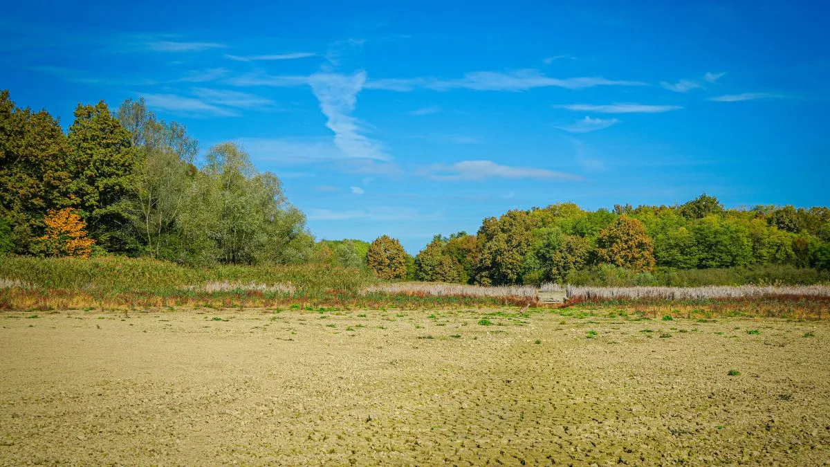 Uttarakhand CM Orders Month-Long Special Drive To Resolve Land Disputes ...