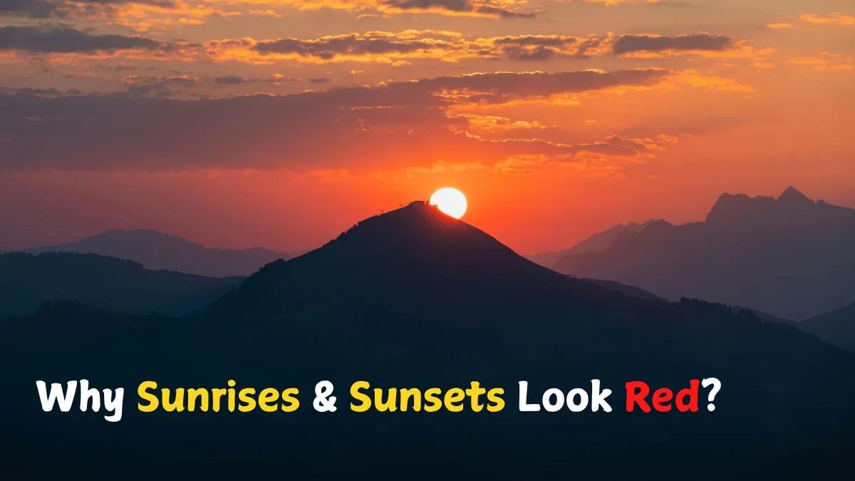 Why Do Sunrises And Sunsets Look Red? Know The Interesting Science ...