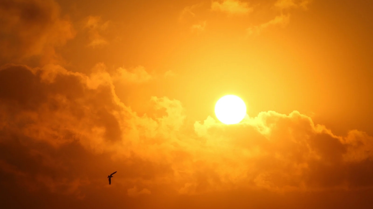 Why Do Sunrises And Sunsets Look Red? Know The Interesting Science ...