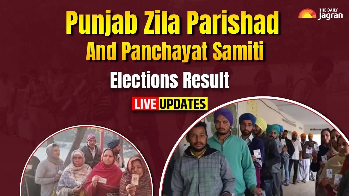 Punjab Local Body Election Result 2025 LIVE Updates: AAP Maintains ...