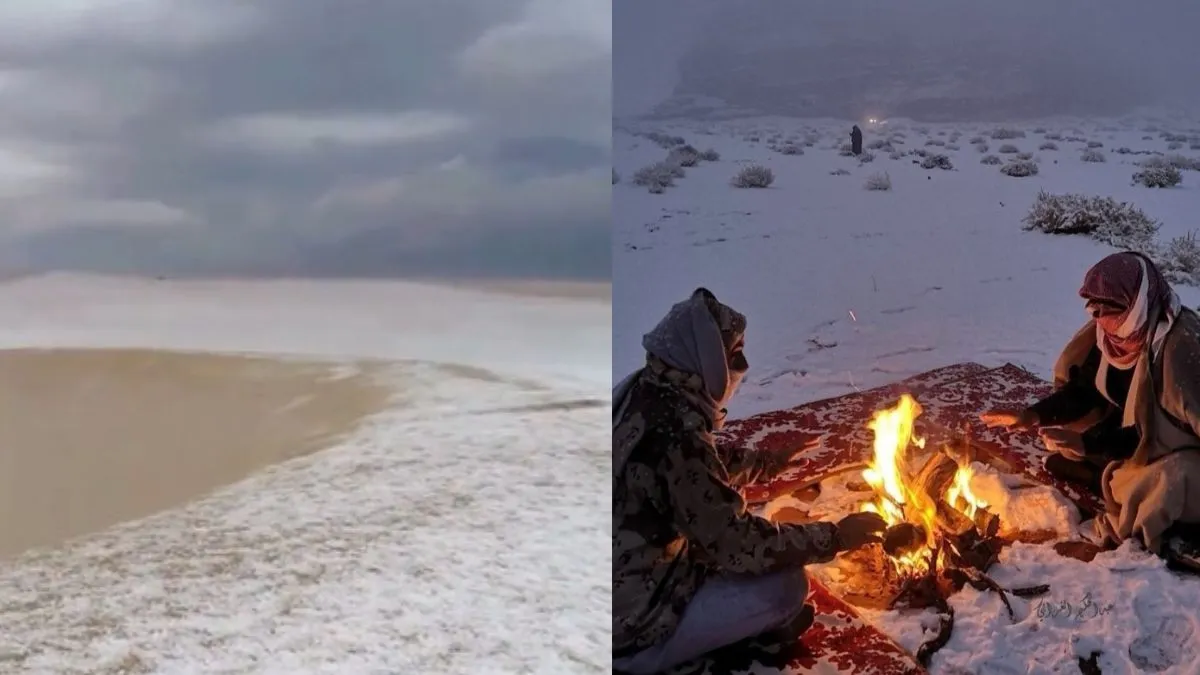 Saudi Arabia Sees Rare Snowfall In Tabuk And Trojena Highlands; Social ...