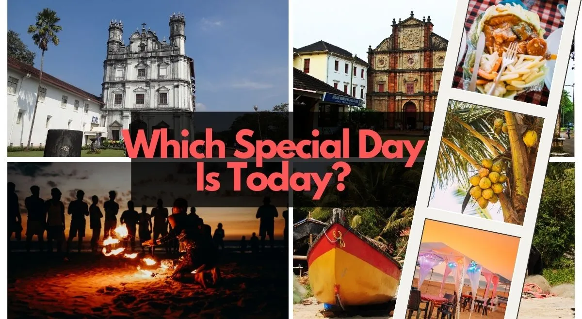Which Special Day Is Today (December 19th): Know Significance, History ...