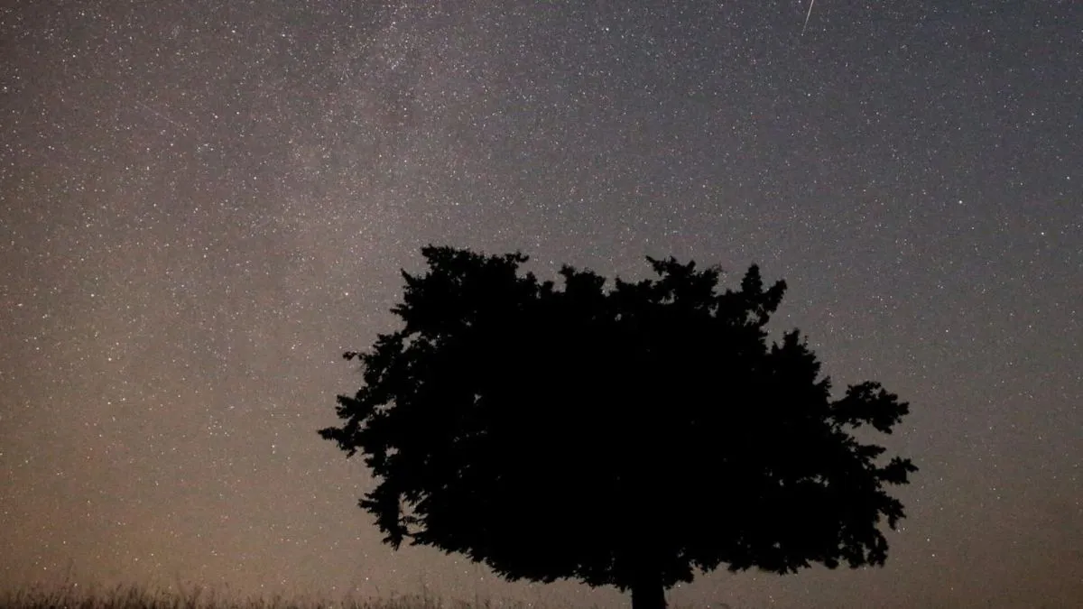 Last Chance To Watch Meteor Shower In 2025: Catch Ursid Cosmic ...