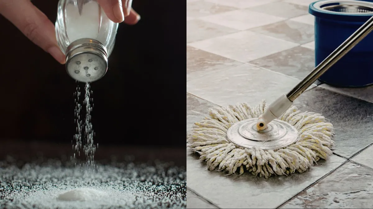 7 Reasons You Should Clean Your Home With Salt Water To Get Rid Of ...