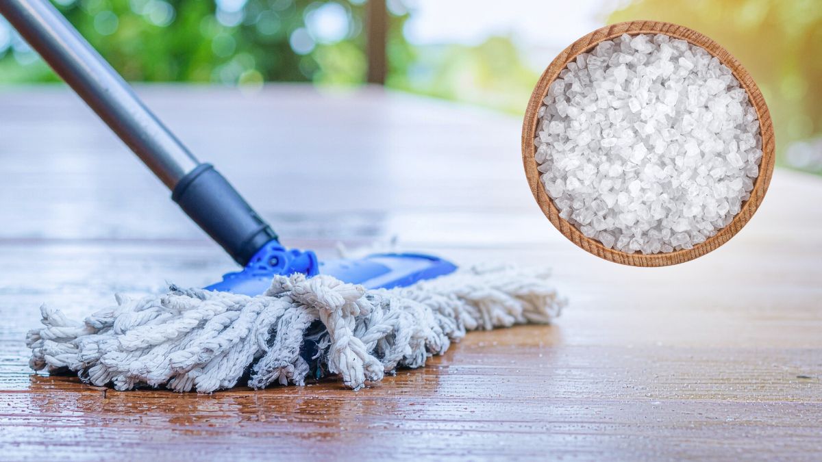 7 Reasons You Should Clean Your Home With Salt Water To Get Rid Of ...