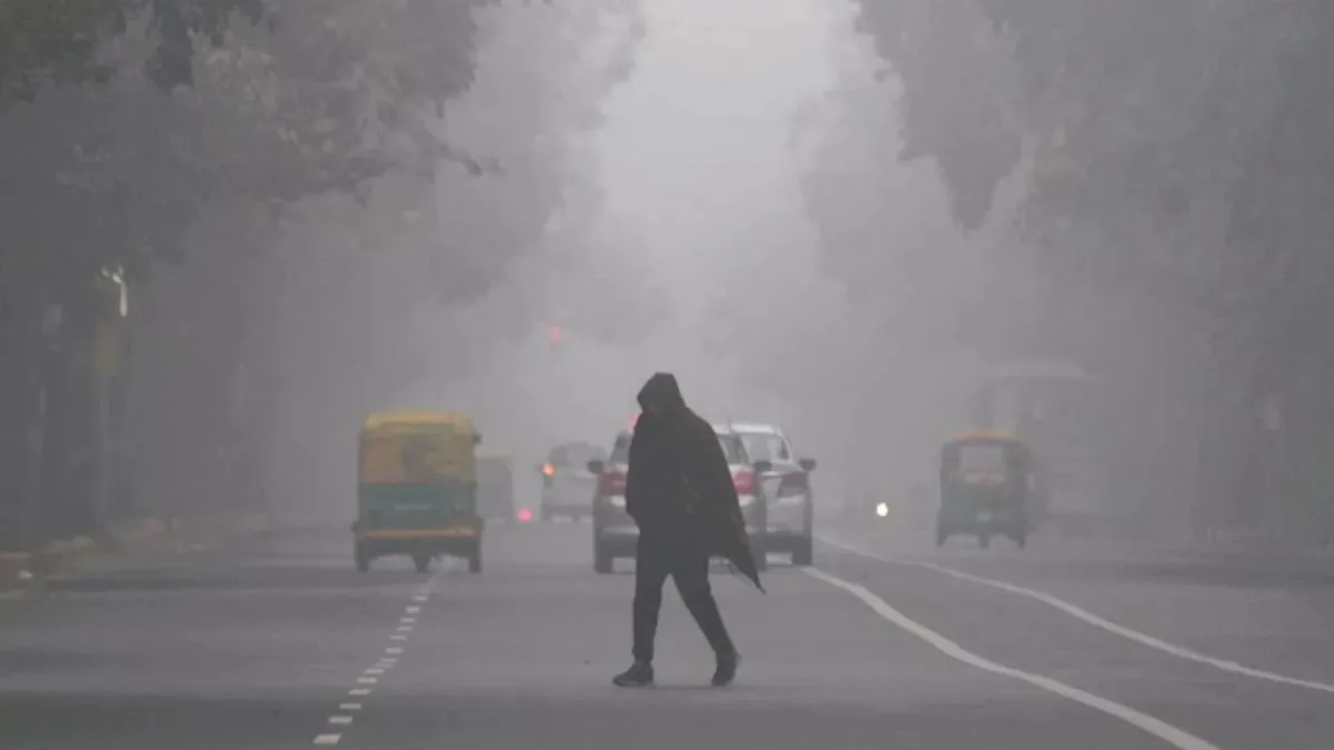 Weather Update: Cold Wave Sweeps Across North India, IMD Warns Of Temperature Dip As Chillai ...