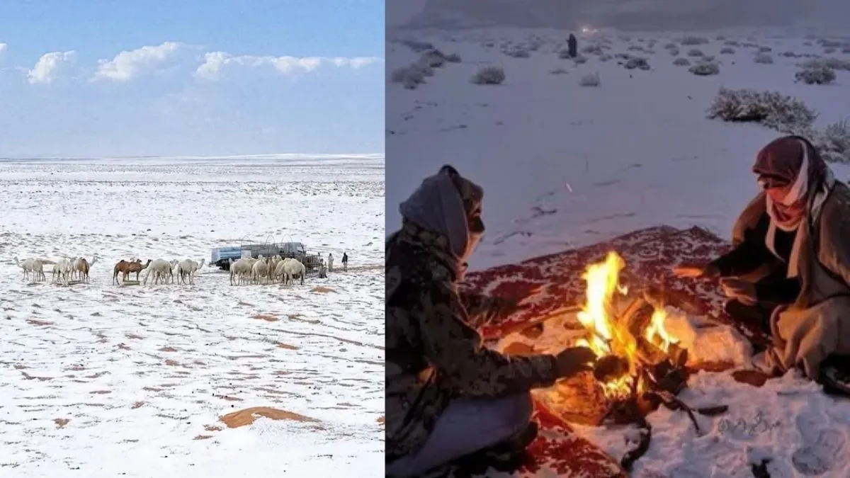 Snowfall In Desert Nation? Saudi Arabia’s Rare Winter Twist Shocks ...