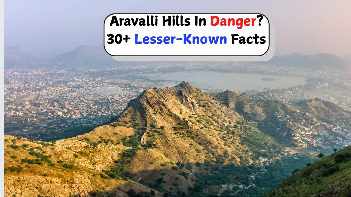 30+ Lesser-Known Facts About Ancient Aravalli Hills- Ongoing Issue And ...