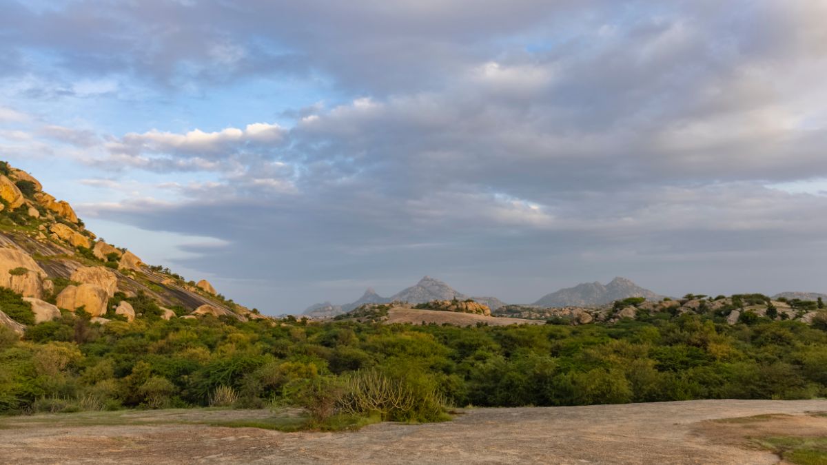 30+ Lesser-Known Facts About Ancient Aravalli Hills- Ongoing Issue And ...